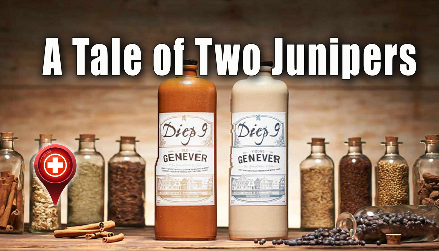 Gin vs Genever: A Tale of Two Junipers - Chill Travelers